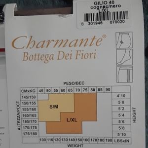 Charmante | Accessories | New Charmante Sexy Stockings 4 Den Size Lxl ...